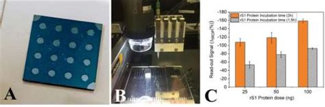 Figure 1 From Developing An Optical Interferometric Detection Method