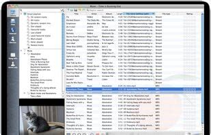 Winamp Alternatives For Linux Audio Media Players AlternativeTo
