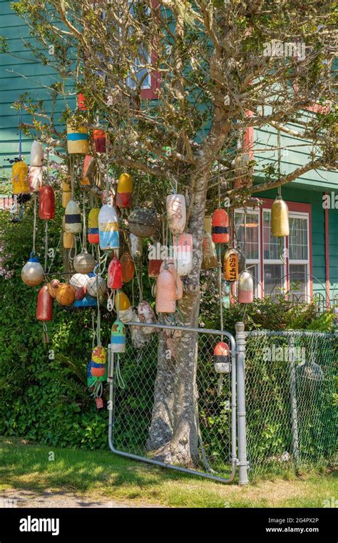 Old Netting Floats Decorating A Tree In A Neighborhood Near Long Beach