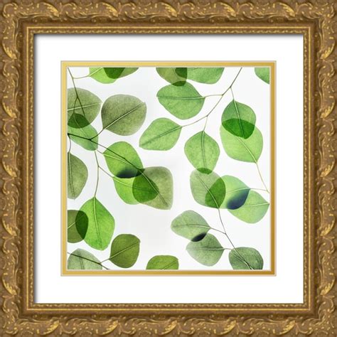 Poinski Dianne 12x12 Gold Ornate Wood Framed With Double Matting