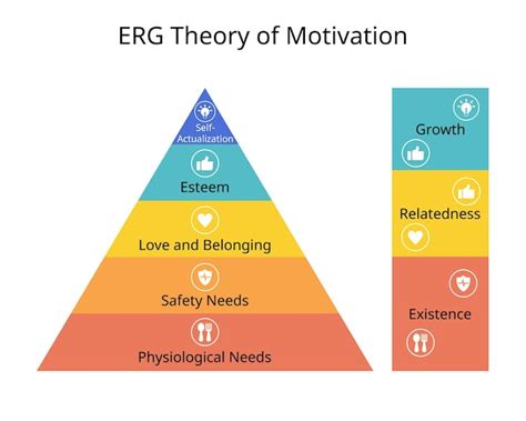 Teoría de la motivación erg que los humanos tienen tres tipos básicos