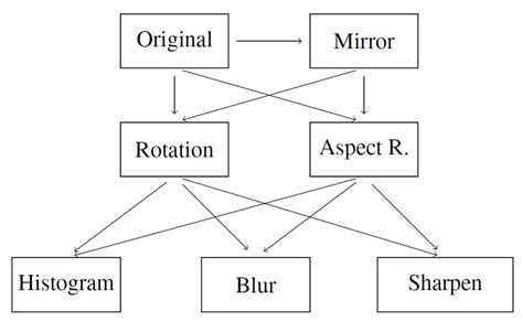 Augmentation Schema For Artificial Data Download Scientific Diagram