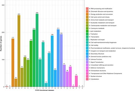 cog functional classification of coding sequences a total of 3066