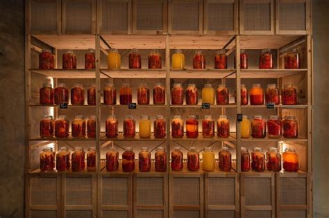 Retail Fermentedfoods Fermentation Sensorialexperience Chilli