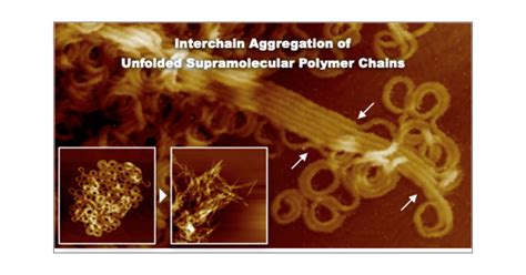 Photoresponsive Supramolecular Polymers Capable Of Intrachain Folding