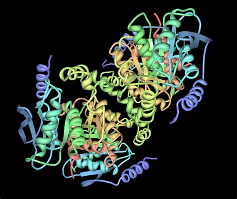 File CARBOXYLASE PNG MDWiki