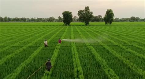 Dalip Kumar On Linkedin Ga3 Spray Hsp Field