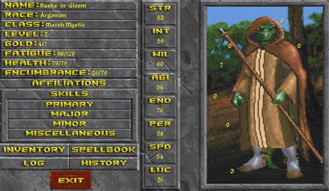 How To Play Daggerfall Xl Vastsilver