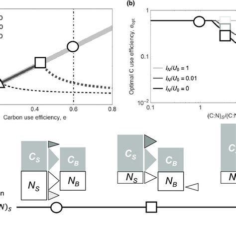Definition Of Optimal C Use Efficiency For A Microbial Community Along Download Scientific