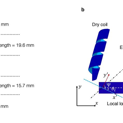 Figure S4 Development Of The Simulation Model For The Engineered Seed Download Scientific