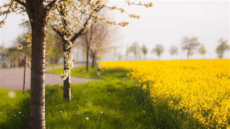 دانلود عکس طبیعت با کیفیت بالا برای دسکتاپ