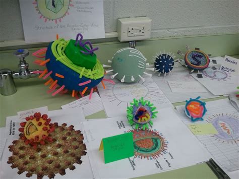 Science Fair Projects Germs Bacteria At Tony Beane Blog