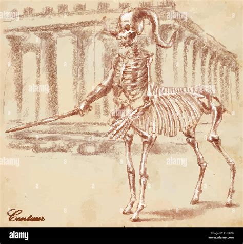 Centaur Skeleton