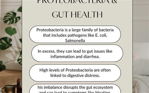 How To Transition From Low To High Fiber For Diverticulosis And Ibd Expert Tips For Gut Health