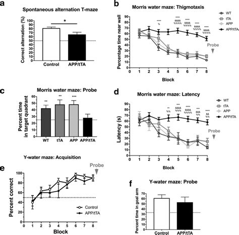 Developmental Onset App Tta Mice Display Impaired Spatial Working But