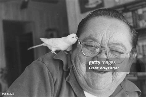 38 Gus Wayne Photos And High Res Pictures Getty Images