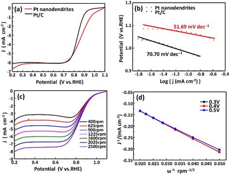 Orr Performances Of Pt Nanodendrites And Ptc A Orr Polarization