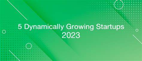 Startups That Are Growing Dynamically And Attracting Investors