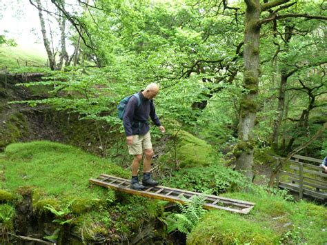 Harris Hikers Almost A Close Encounter With Moel Fferna 10th June 2010