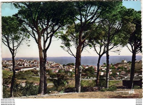 banyuls sur mer d66 banyuls sur mer vue générale à travers les pins