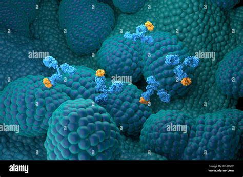 Monoclonal Antibody Treatment In Prostate Cancer Isometric View 3d