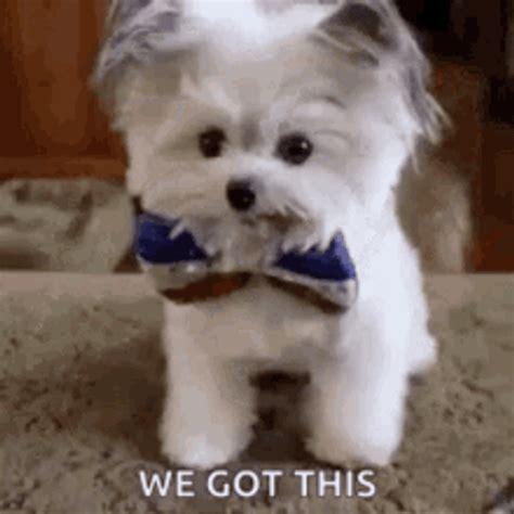 We Got This You Got This Quote 