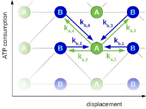 Sketch Of Possible Transitions And Relative Transition Rates In The