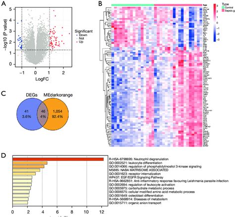 Screening For Differentially Expressed Genes And Enrichment Analysis