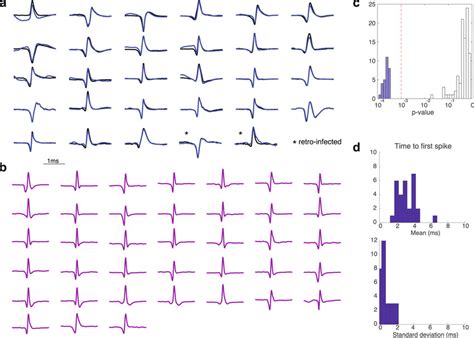 Identification Of Light Responsive Cells A Average Waveforms Of
