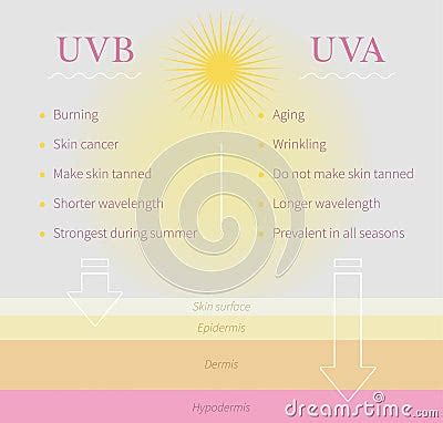UVB And UVA Ultraviolet Rays Difference Inforgaphics About Sun Rays