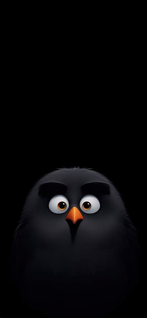 Angry Bird Wallpapers Hd Wallpaper Fors