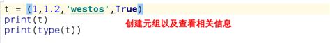 Python中元组的定义以及如何创建元组什么条件才是元组 Csdn博客