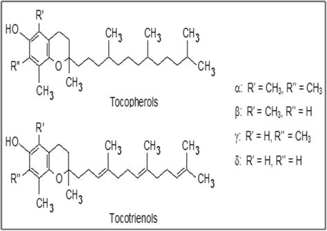 Chemical Structure Of Tocopherols And Tocotrienols Download