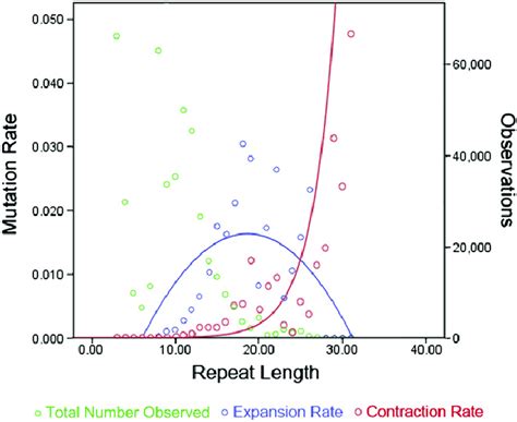 Relationship Between Total Number Of Repeats And Mutation Direction And Download Scientific