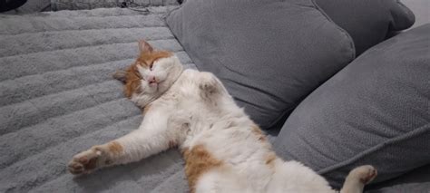 On Twitter Https T Co Xqqk G V Twitter