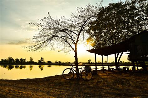 개요 행동 활동 모험 배경 해변 아름 다운 자전거 자전거 블루 블러 밝고 다채로운 사이클 새벽 저녁 익 스 트림 피트 니스 재미 건강 휴일 이미지 풍경 레저 생활 빛 산