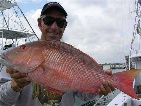 Get Ready For The Fall Red Snapper Season Therapy Iv