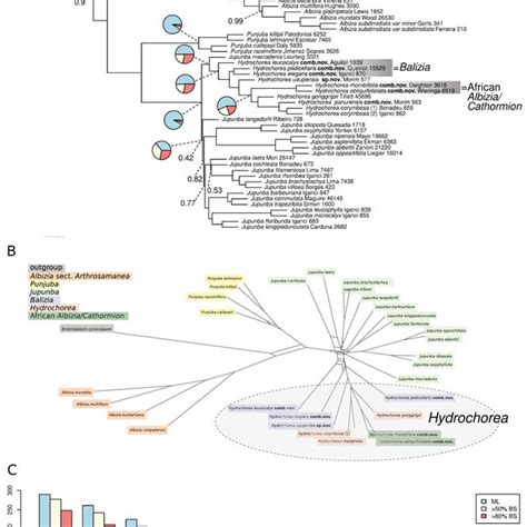 Phylogenomics Of The Jupunba Clade A Astral Iii Species Tree Based On