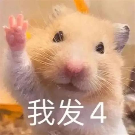 涩涩表情包 瑟瑟变态表情包