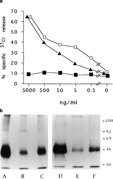 Triggering Of Cytolytic Activity And Molecular Characteristics Of The