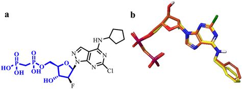 A Atoms Used For Database Alignment Red B Comparison Of The