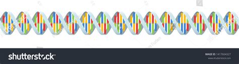 Dna Coding Strand Four Colored Base Stock Vector Royalty Free 1417604327 Shutterstock