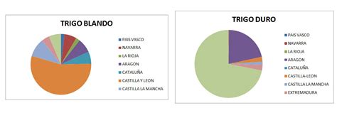 El Trigo En España El Segundo Cultivo Con Más Representación Y Más