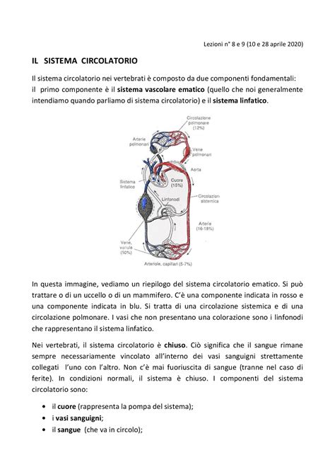 Sistema Circolatorio Docsity