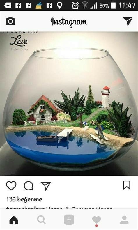 Sand Art Terrarium Diy Plus How To Care For Air Plants Artofit