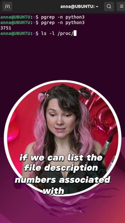 Learn Linux List File Descriptors Linuxsystem Learnlinux Linuxcommands Terminalcommands