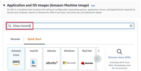 วิธีการเปิดใช้ Cdata Connect Server บน Ec2 Ami Developersio