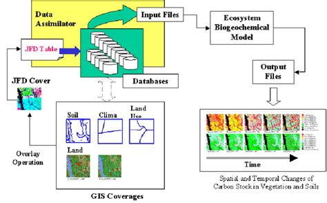 Diagram Of The General Ensemble Based Biogeochemical Model System