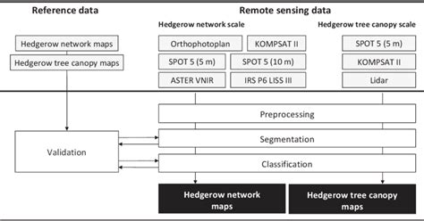 Image Processing Procedure Download Scientific Diagram