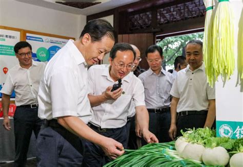 头条乡村振兴开大会全省代表走进战旗村考察基层创新经验 种植